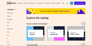 Top 13 Websites To Learn Coding For Free – Zindua School